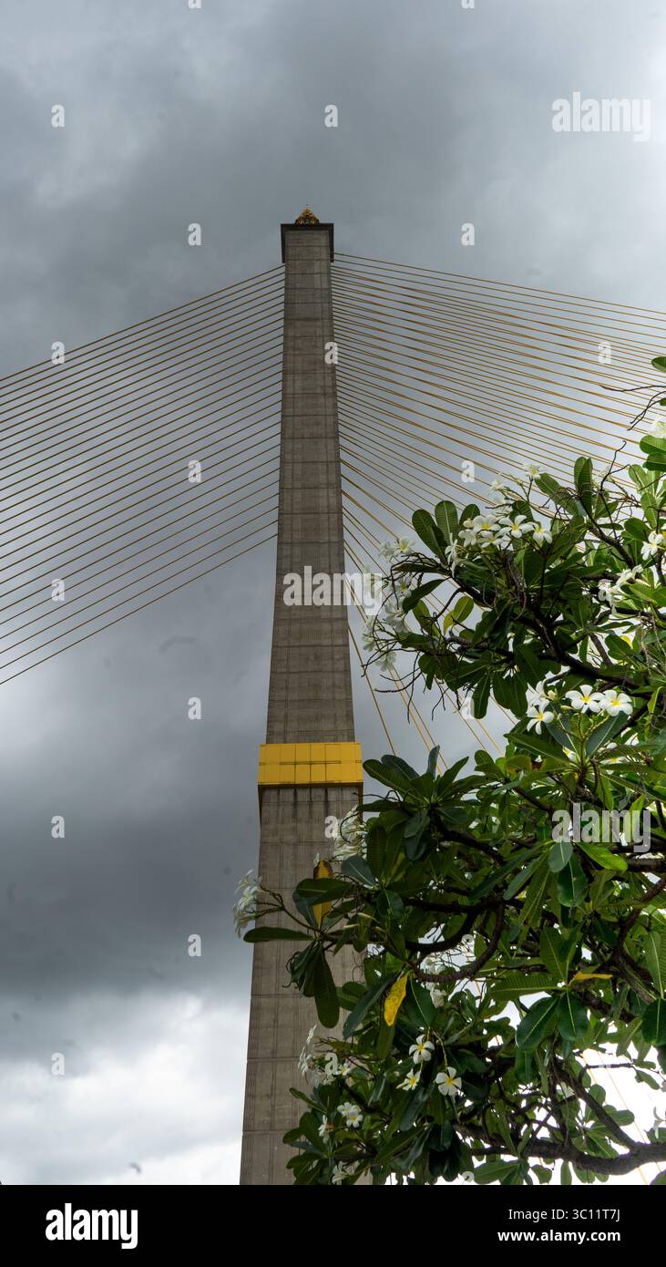 Construction cable stayed bridge cable stayed pylon hi-res stock ...
