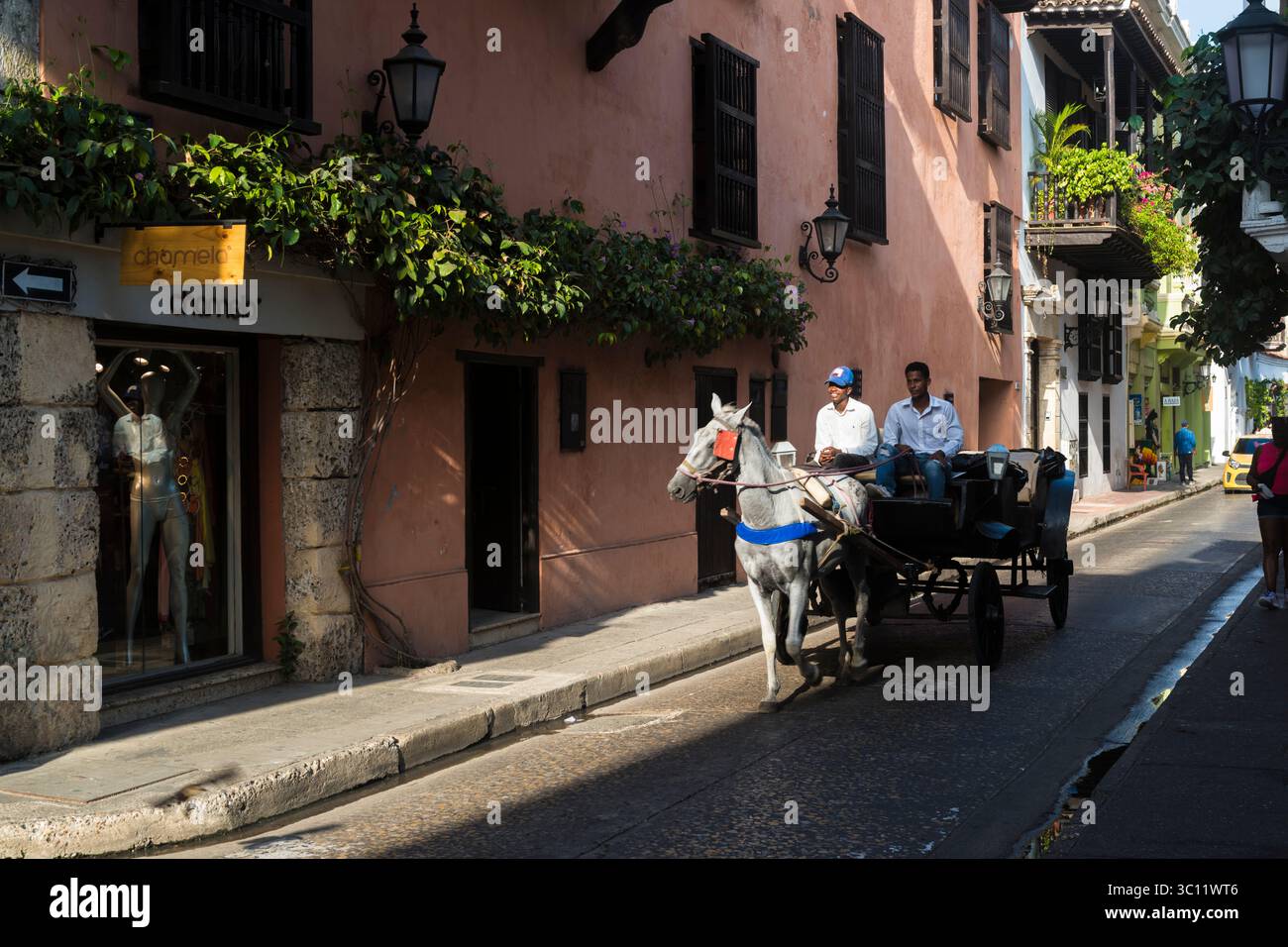 Passing horse-drawn carriage caught in the sunlight in a street in Cartagena's old town ...