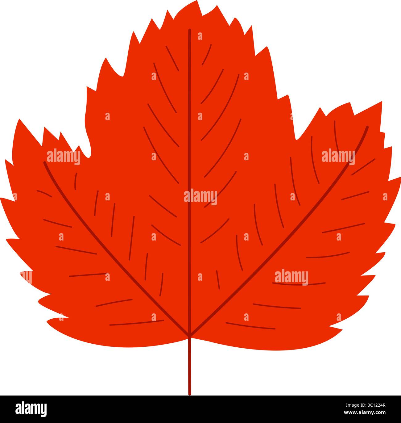 Autumn red leaf isolated on transparent background. Element for season ...