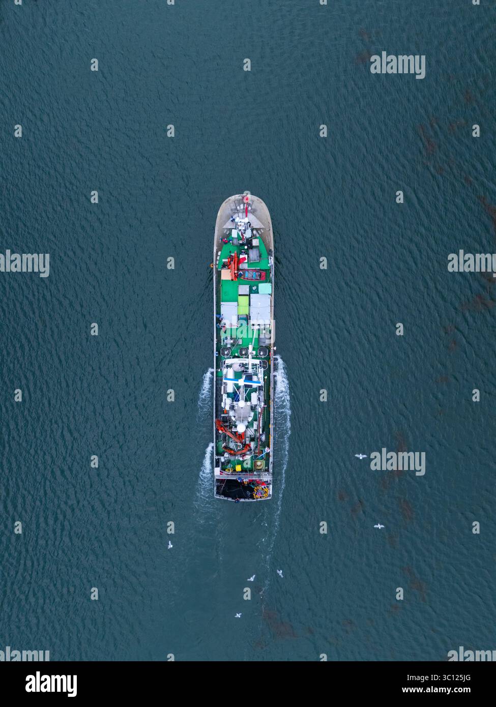 Aerial view of a fishing boat in Santoña, in the marshes of the Santoña ...