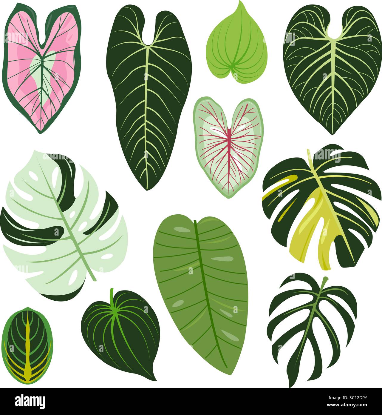 Green monstera leaf rain Stock Vector Images - Alamy