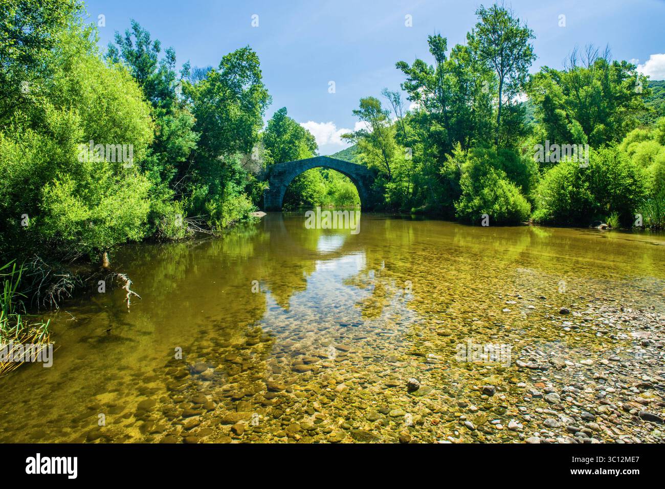 Die alte Bogenbrücke Spin a Cavallu führt über den Fluss Rizzanese ...