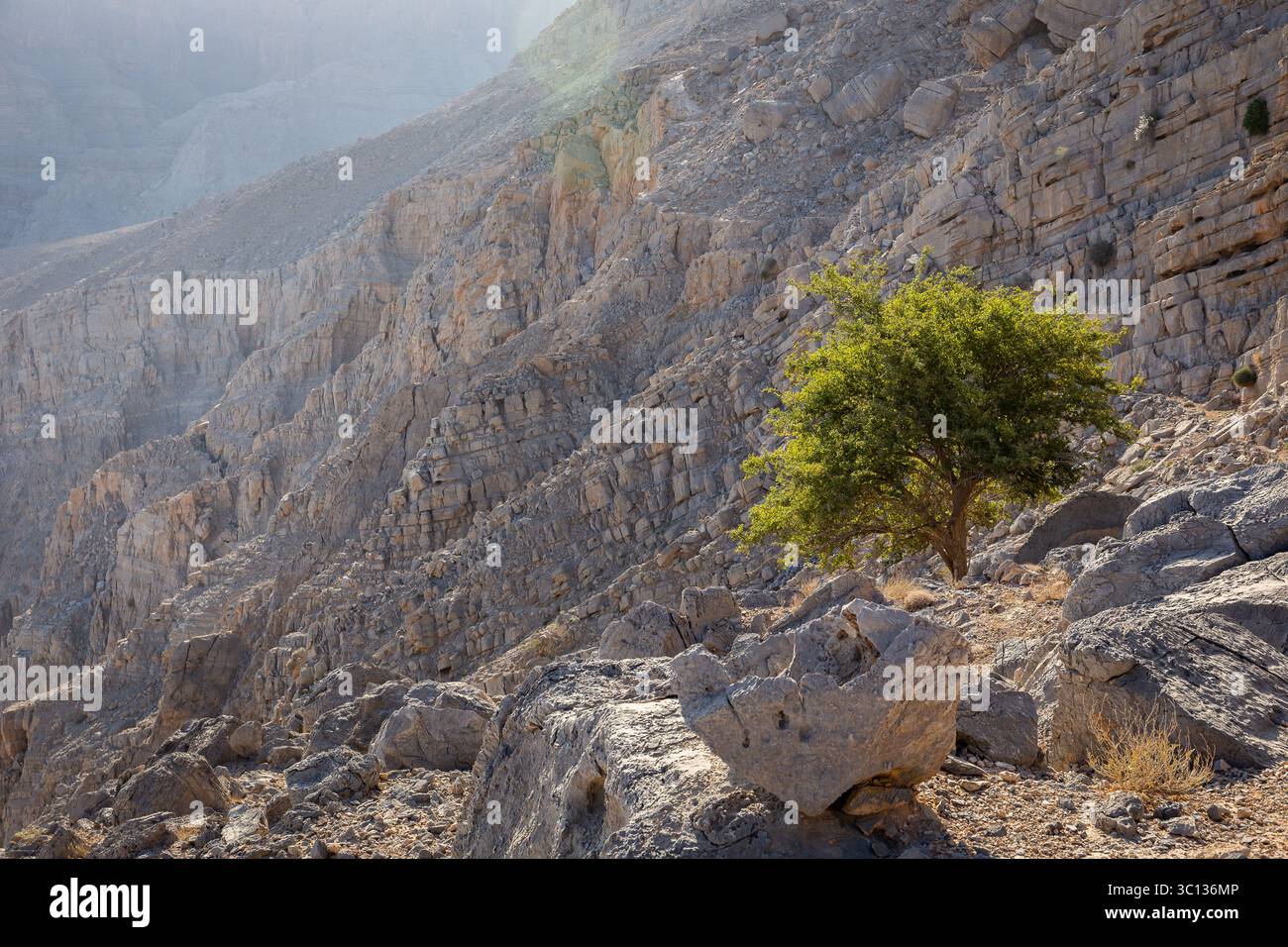 Hajar Mountains in Jebel Jais area, landscape of dry desert limestone ...