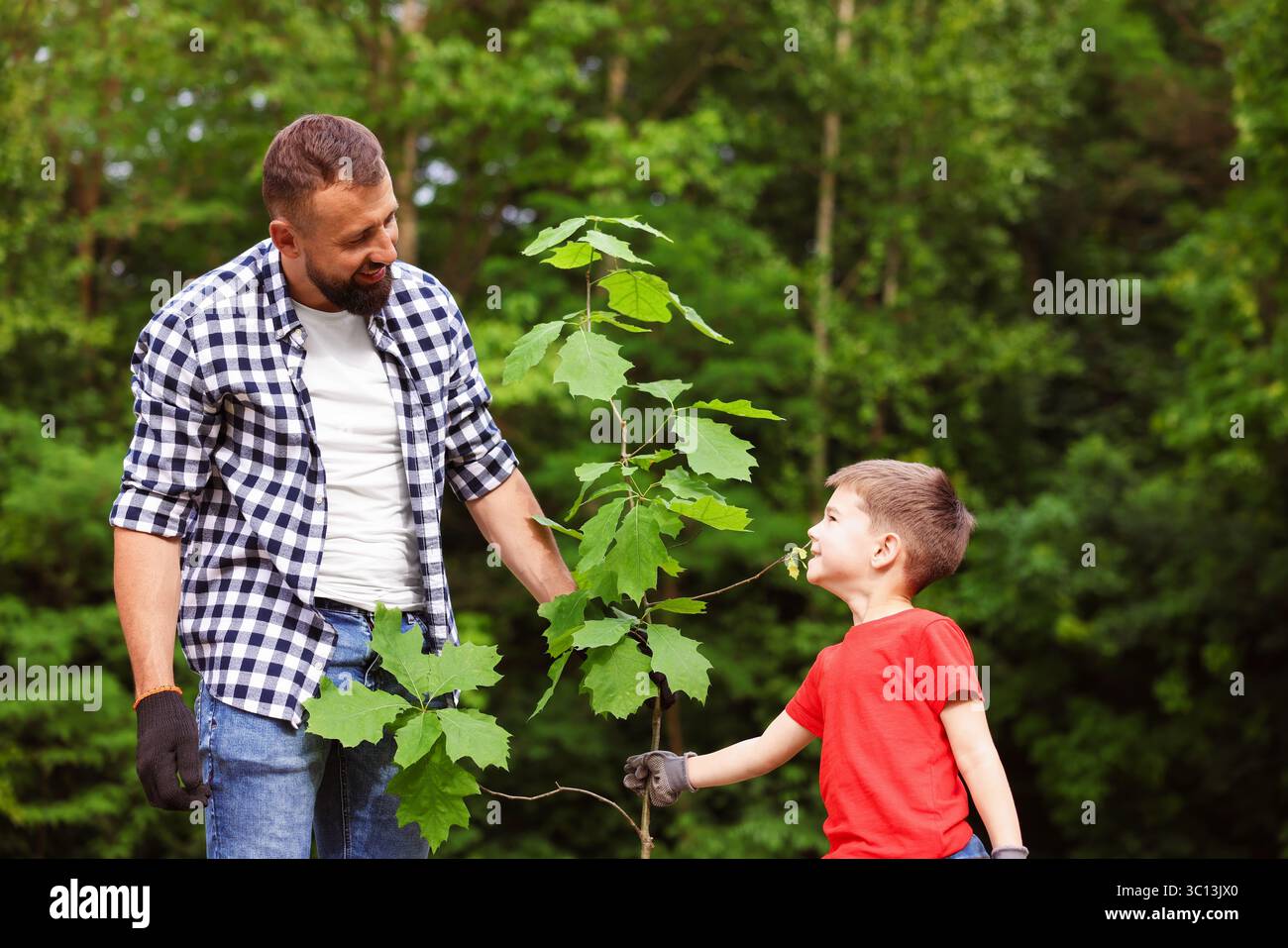 Father and his son planting tree outdoors Stock Photo - Alamy