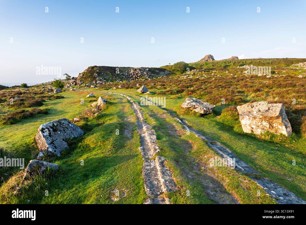 Trackwork remains of the Haytor Granite Tramway and Haytor Rocks beyond ...