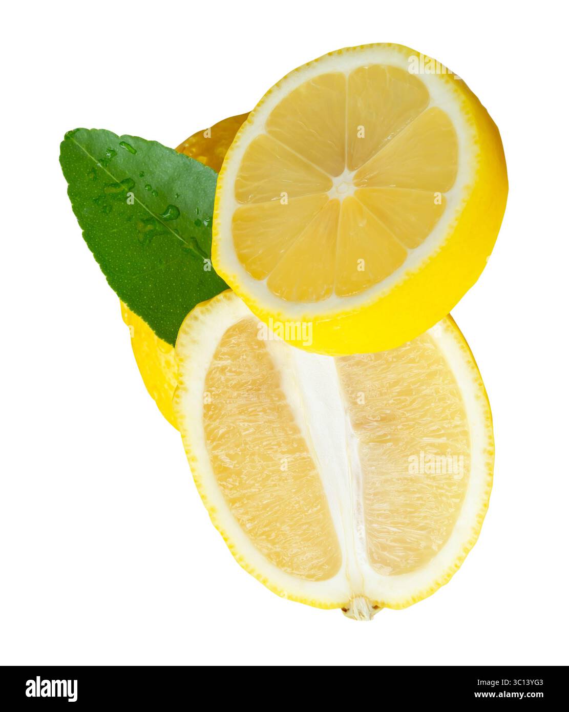 Front view of ripe yellow lemon fruit with slices in circle and oval ...