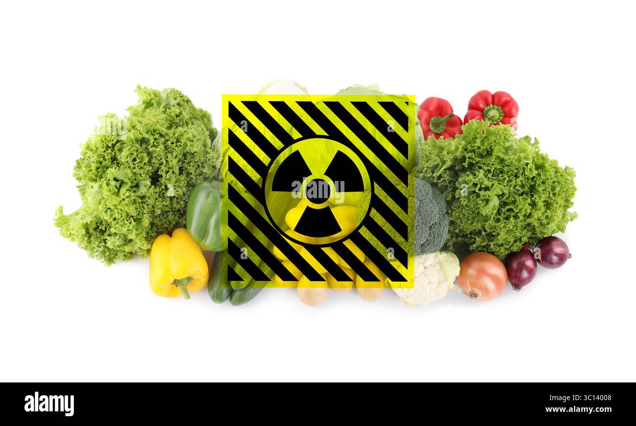 Environmental mix Cut Out Stock Images & Pictures - Alamy