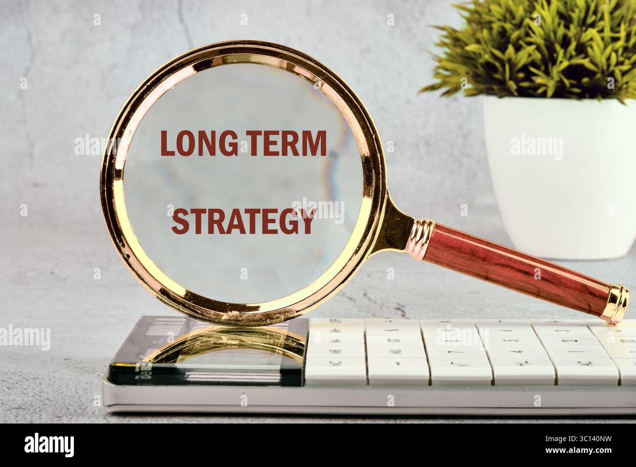 The conceptual text of the LONG TERM STRATEGY. A place to copy ...