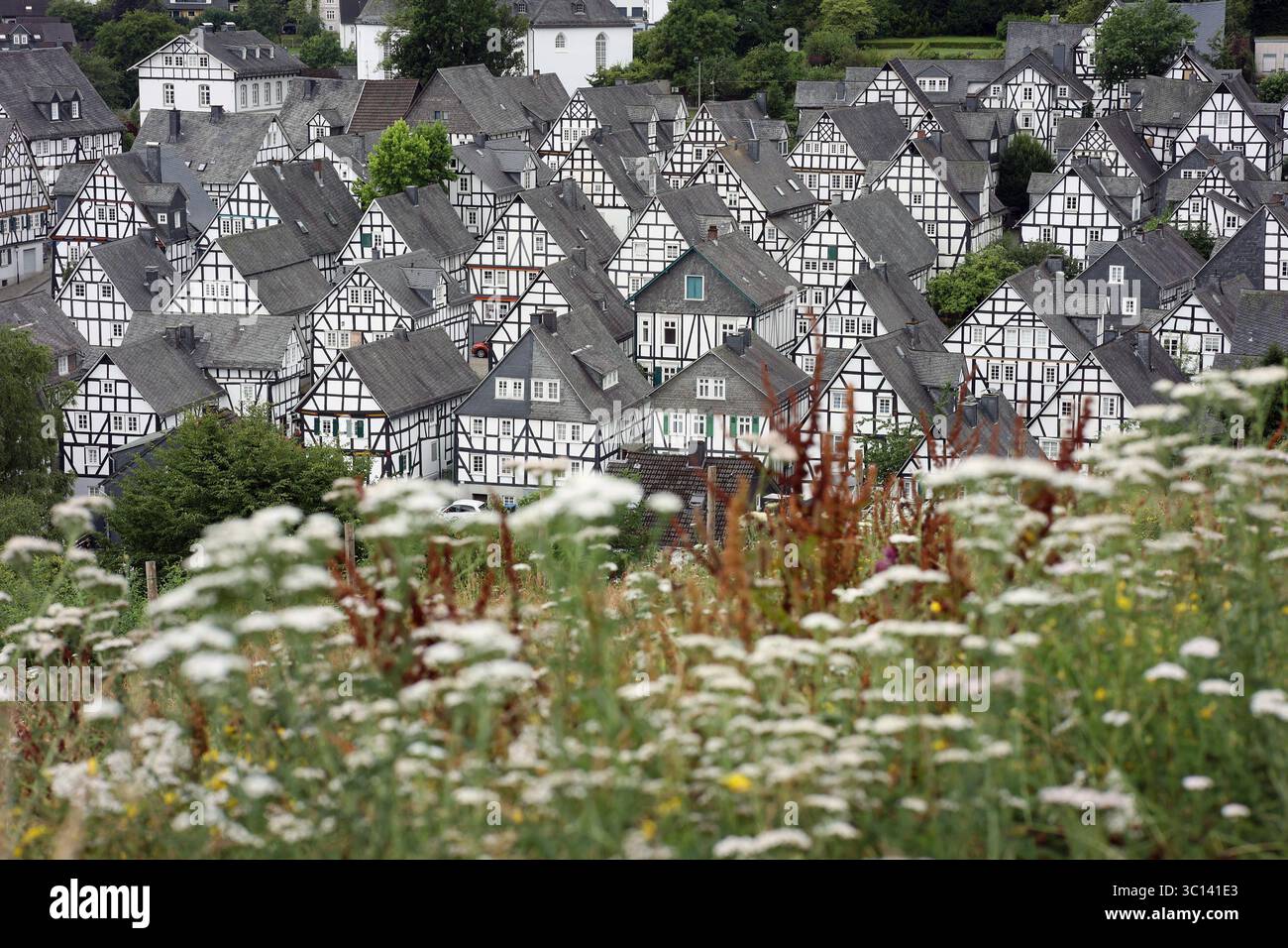 Blick aus dem Kurpark auf die Historische Altstadt von Freudenberg mit ihren Fachwerkhaeusern ...