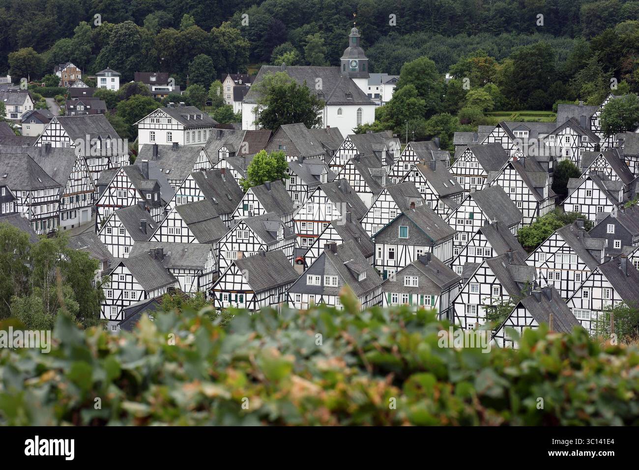 Blick aus dem Kurpark auf die Historische Altstadt von Freudenberg mit ihren Fachwerkhaeusern ...