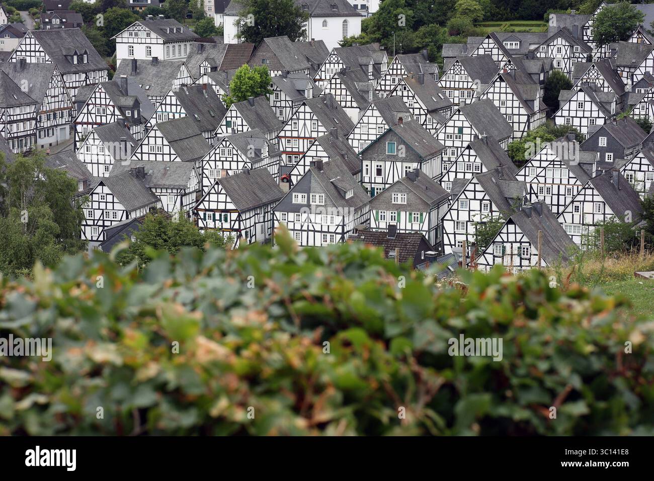 Blick aus dem Kurpark auf die Historische Altstadt von Freudenberg mit ...