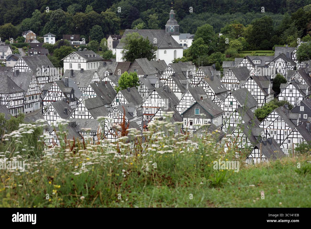 Blick aus dem Kurpark auf die Historische Altstadt von Freudenberg mit ihren Fachwerkhaeusern ...