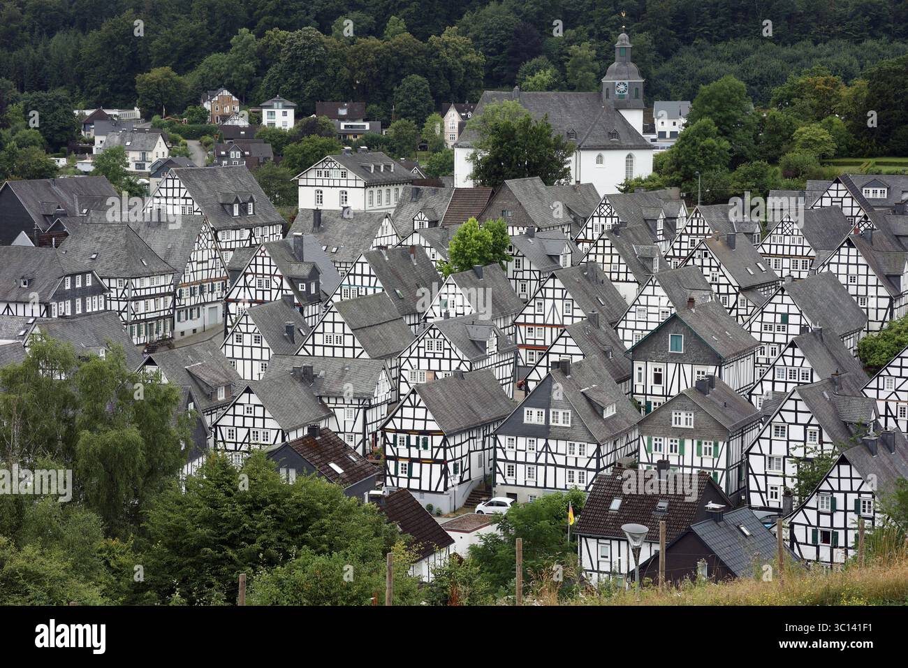 Blick aus dem Kurpark auf die Historische Altstadt von Freudenberg mit ihren Fachwerkhaeusern ...