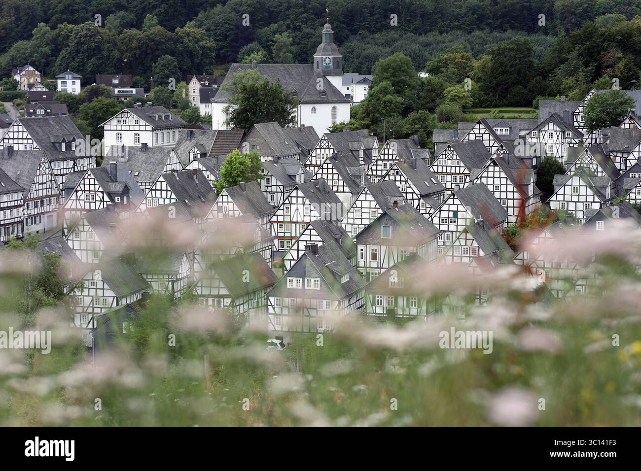 Blick aus dem Kurpark auf die Historische Altstadt von Freudenberg mit ihren Fachwerkhaeusern ...