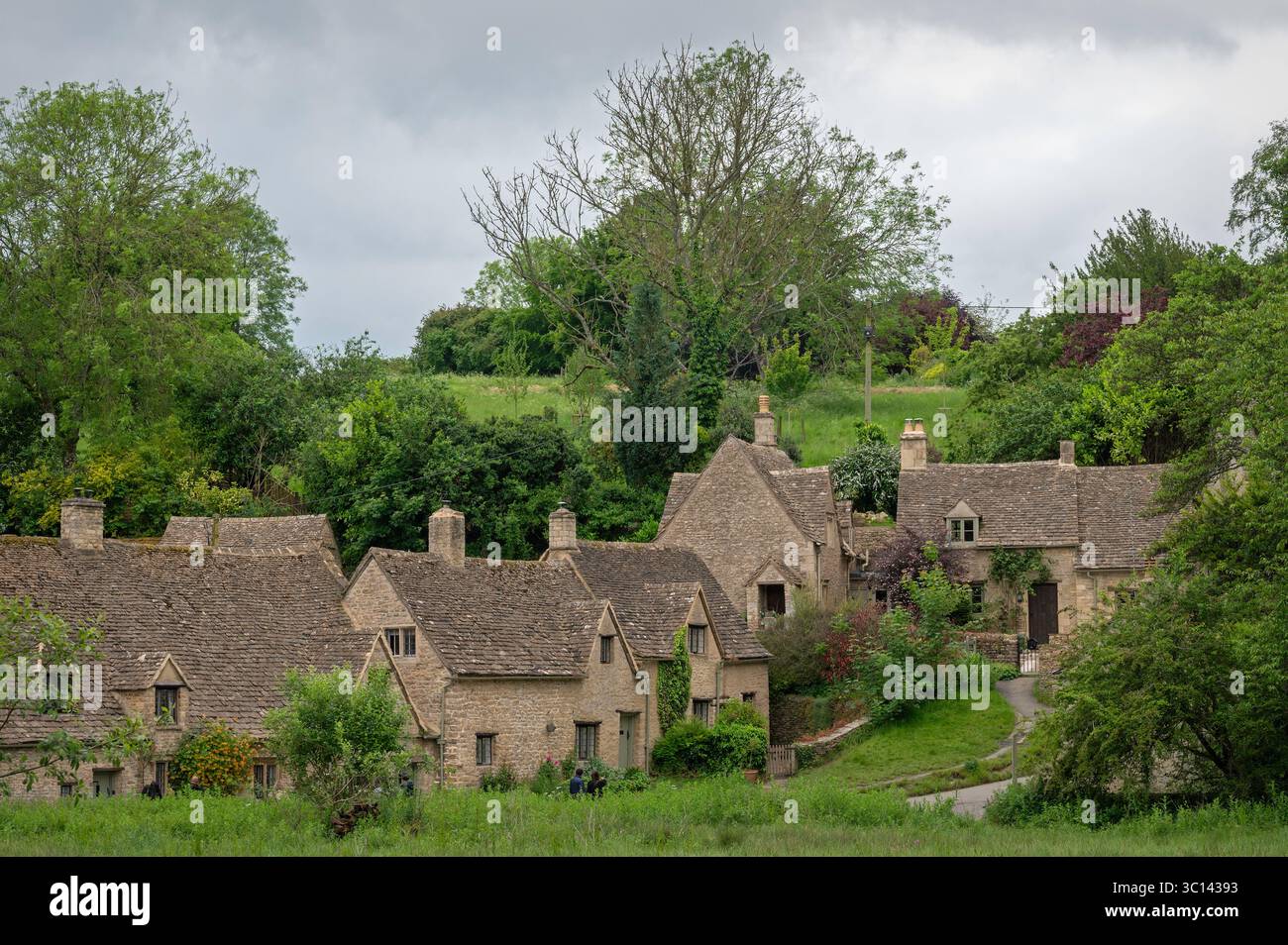 View across Rack Isle water meadows toward the 14th century cottages of ...