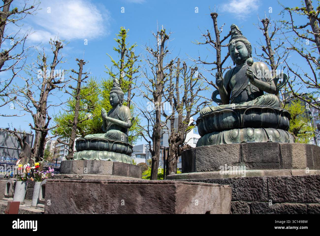 Asakusa Tokyo Japan temples sakura cherry trees parks people Mount Fuji ...