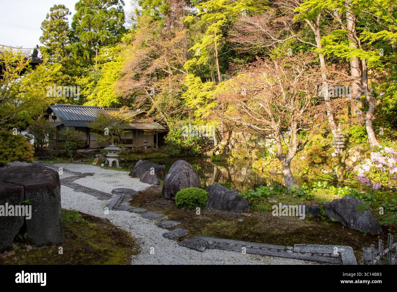 Kyoto Japan temples sakura cherry trees parks people Golden Silver ...