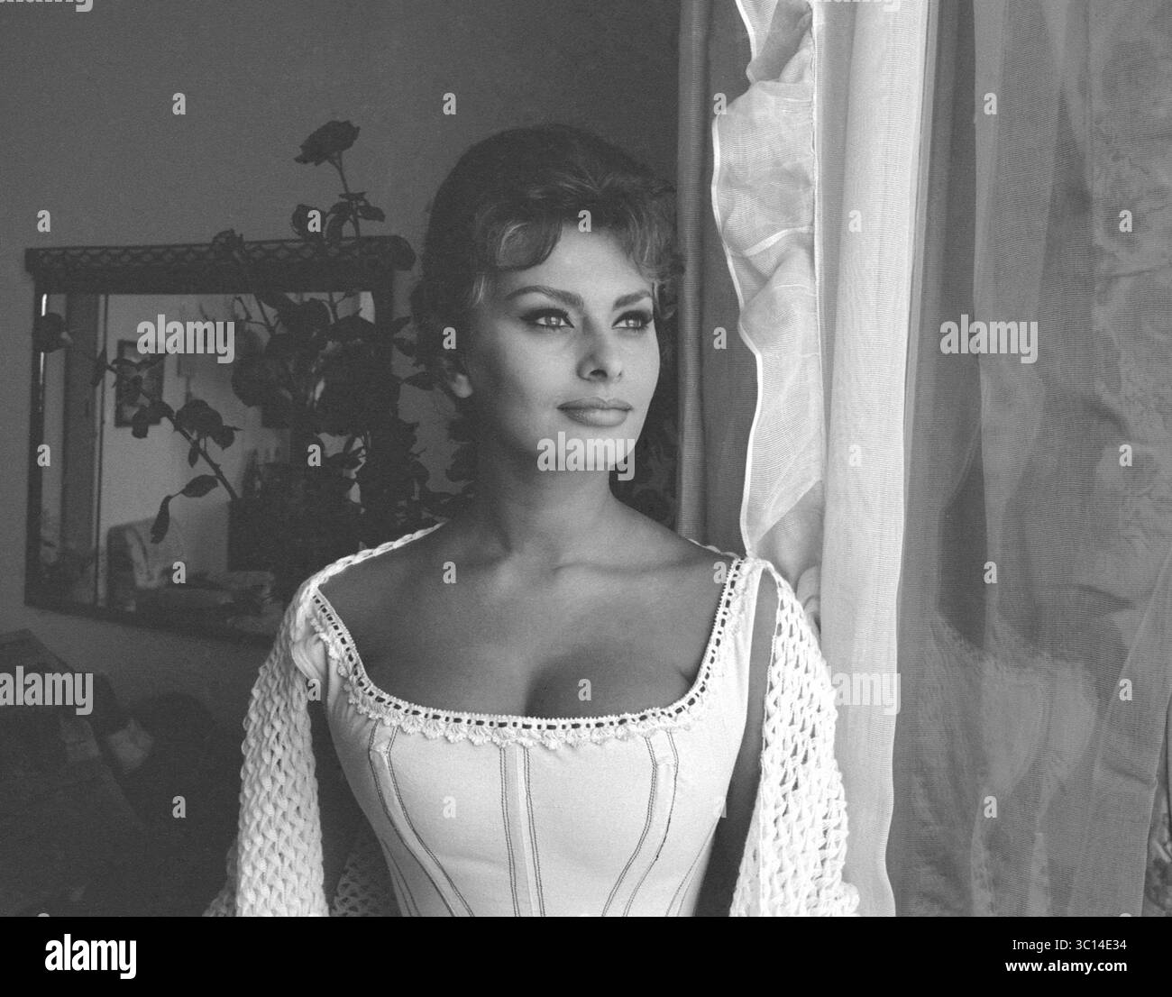 Sophia loren when young hi-res stock photography and images - Alamy