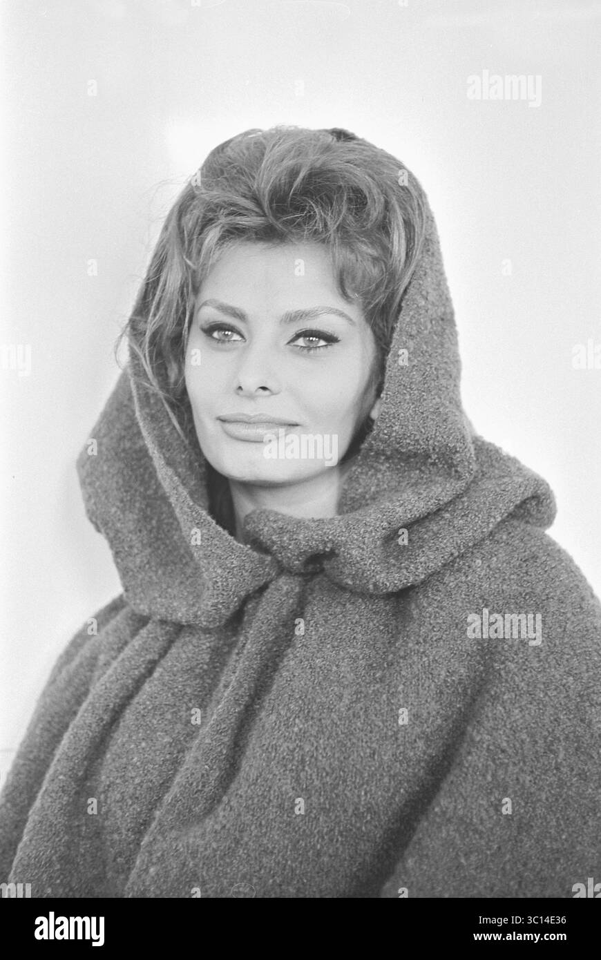 Sophia loren when young hi-res stock photography and images - Alamy