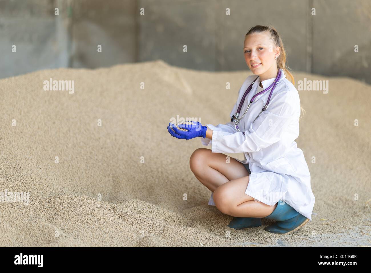 Female veterinarian checking pelleted livestock feed Stock Photo - Alamy