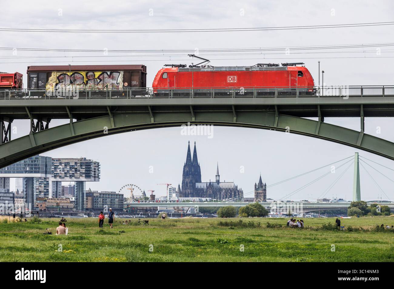 freight train on the Suedbruecke (South bridge), view to the cathedral ...