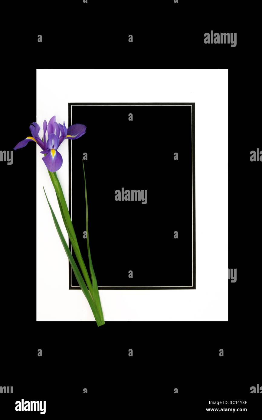 RIP in deepest sympathy memorial background with iris flower on white ...