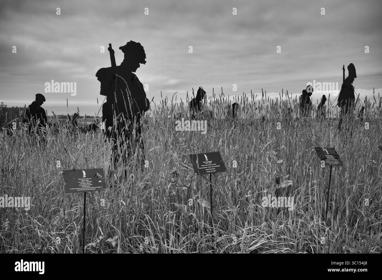 Installation, Standing with Giants, honours the victims of the fallen ...