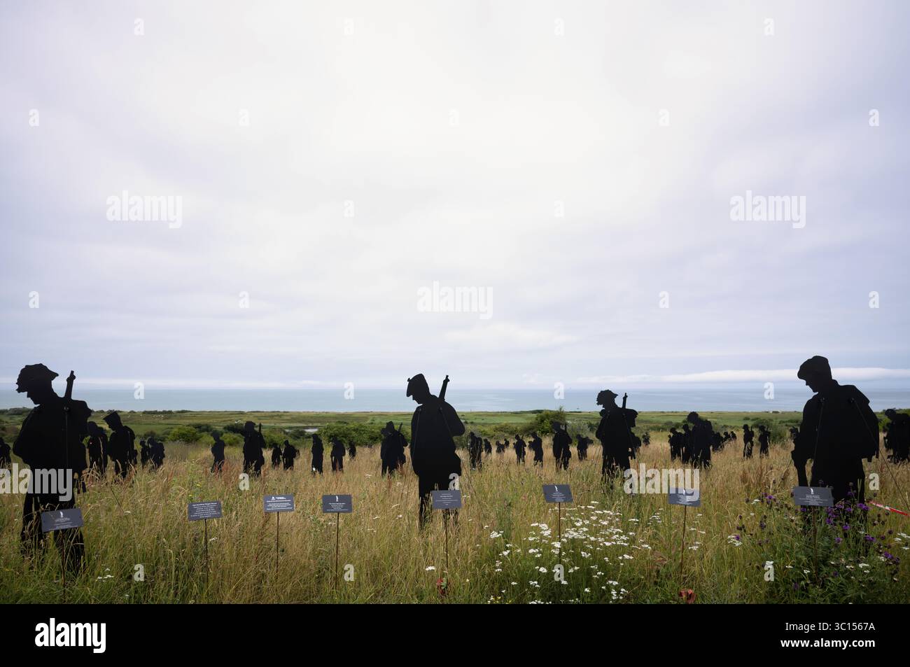 Installation, Standing with Giants, honours the victims of the fallen ...