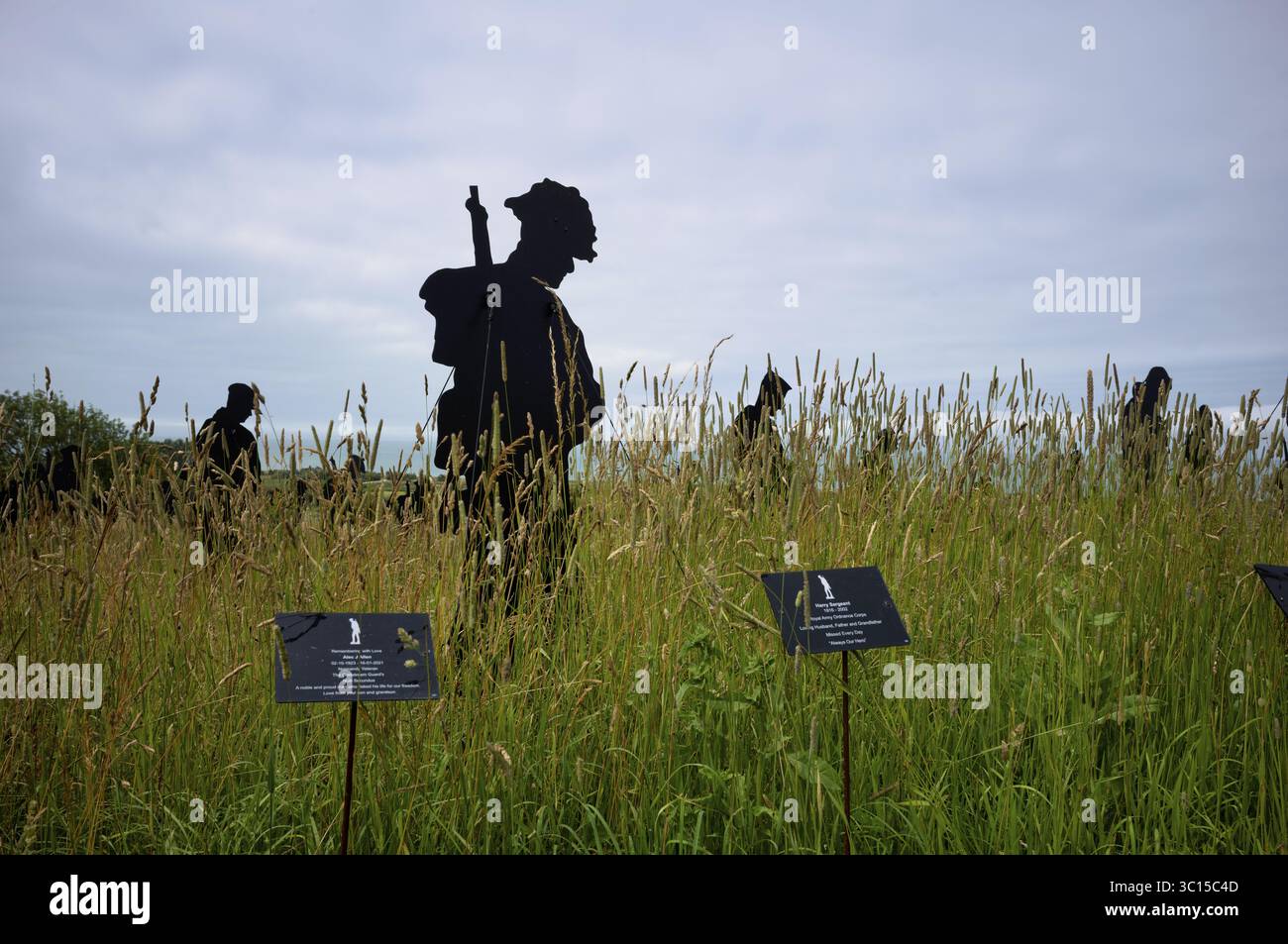 Installation, Standing with Giants, honours the victims of the fallen ...
