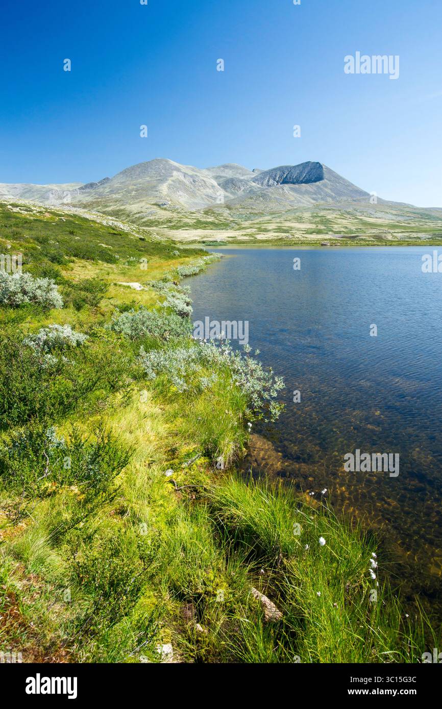 Sore hovringvatnet hi-res stock photography and images - Alamy