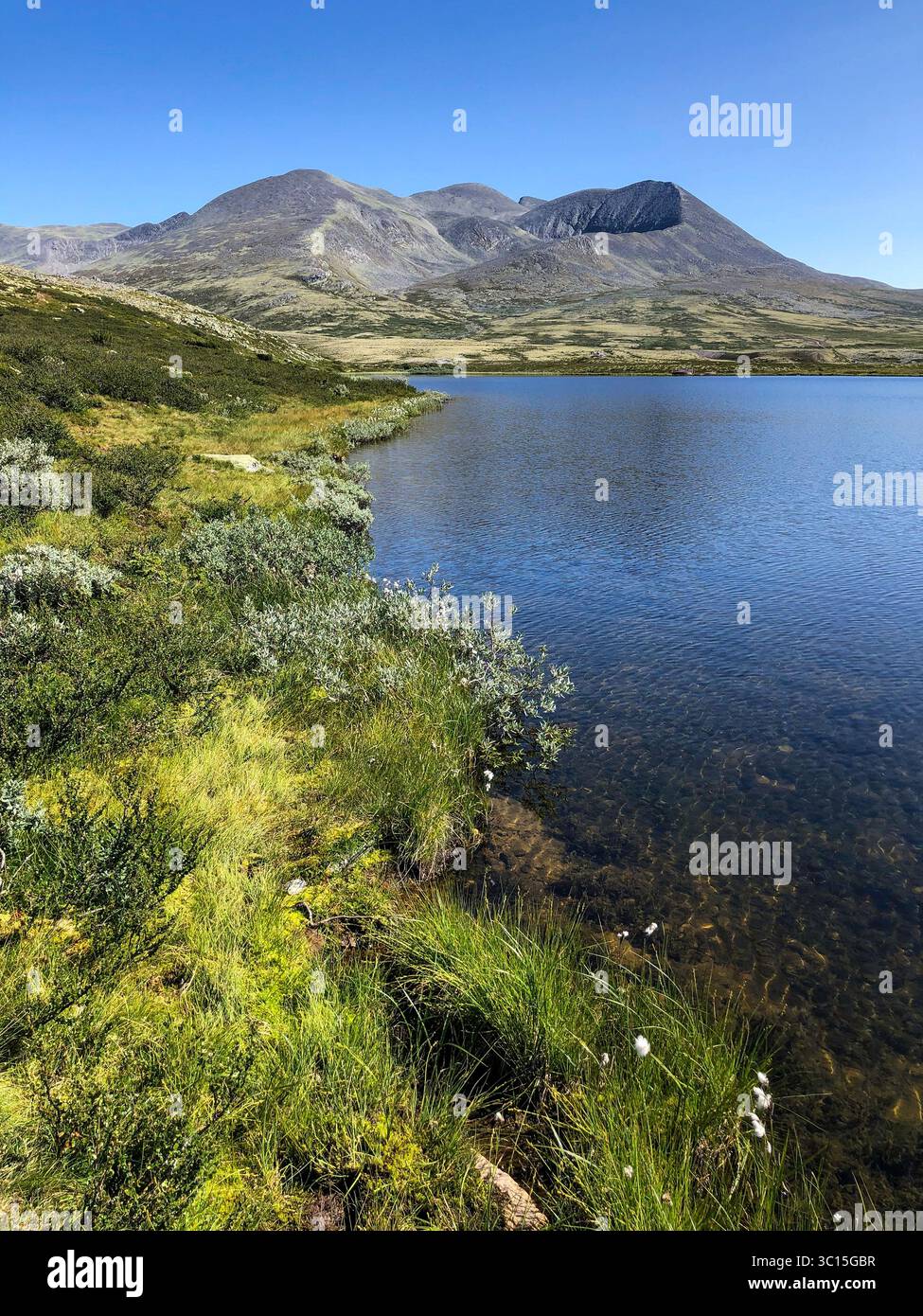 Sore hovringvatnet hi-res stock photography and images - Alamy