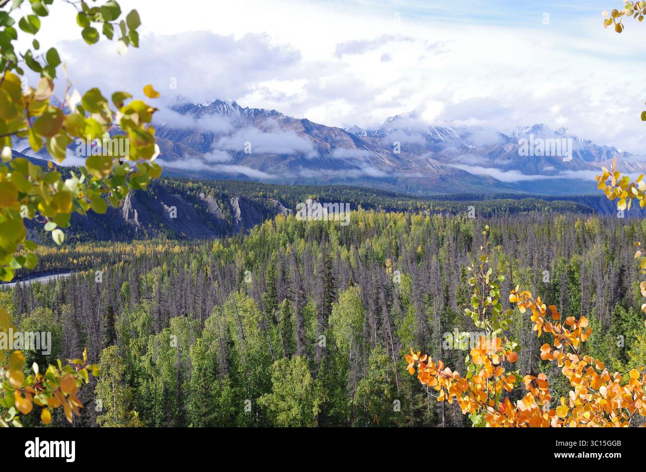 Alaska, Paler, autumn above the Matanuska Glacier Stock Photo - Alamy