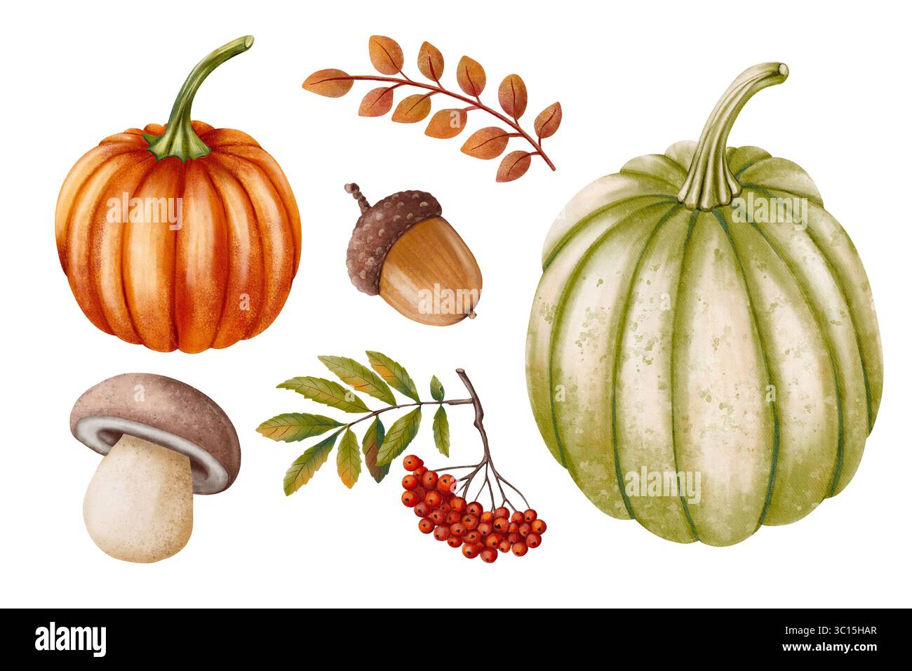 Autumn clipart set with orange and green pumpkins, mushroom, acorn ...