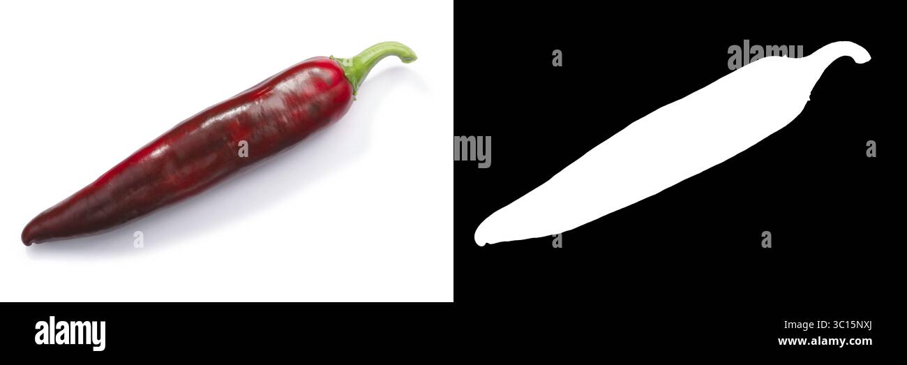 Hatch Sandia chile pepper, ripe red, top view (Capsicum annuum). Numex ...