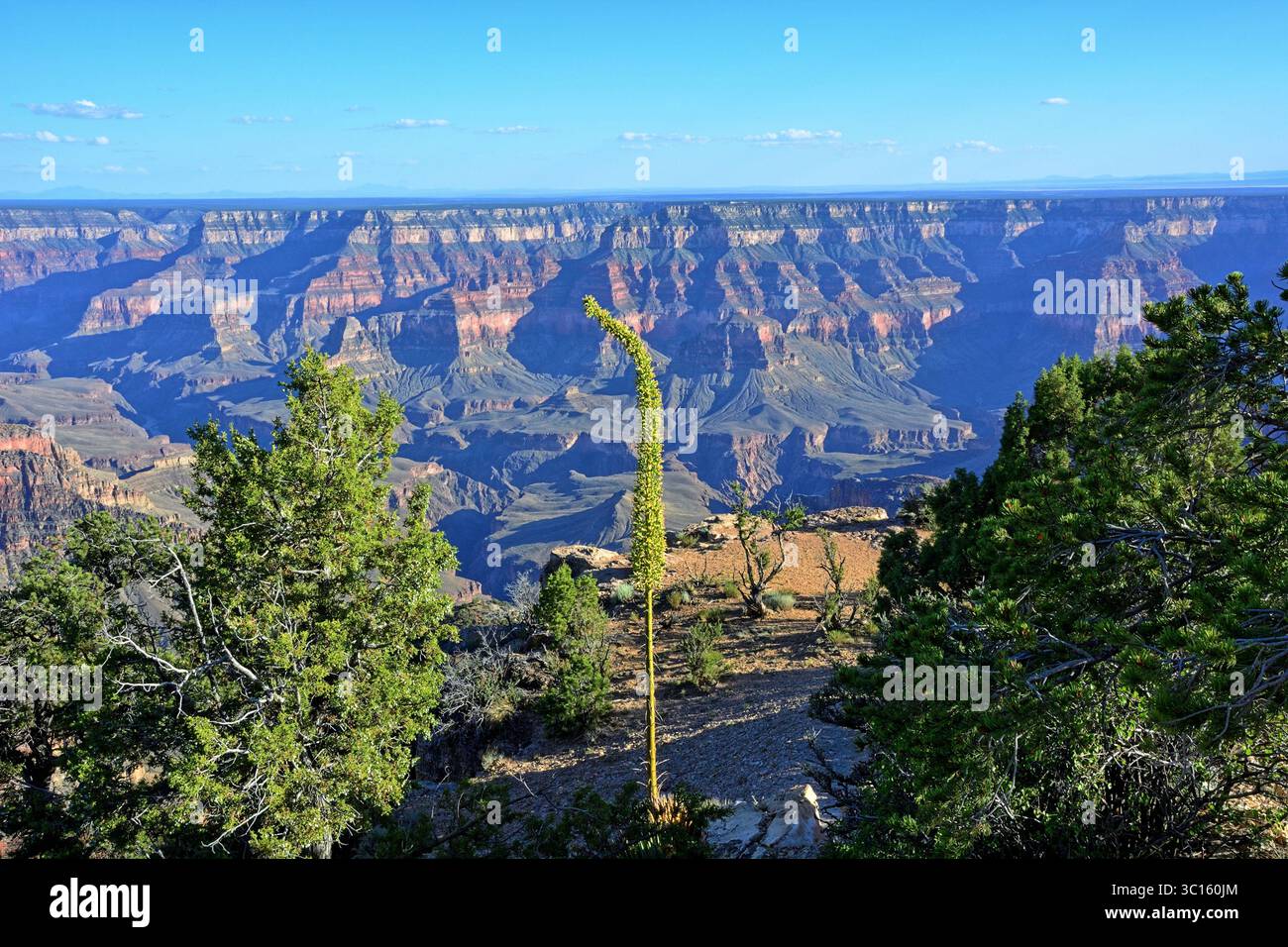 North rim trail head grand canyon hi-res stock photography and images ...