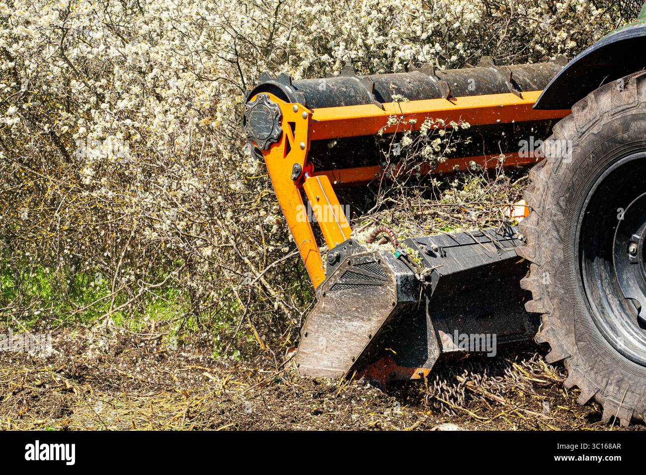 forest mulcher that cleans the soil in the forest. tracked general ...
