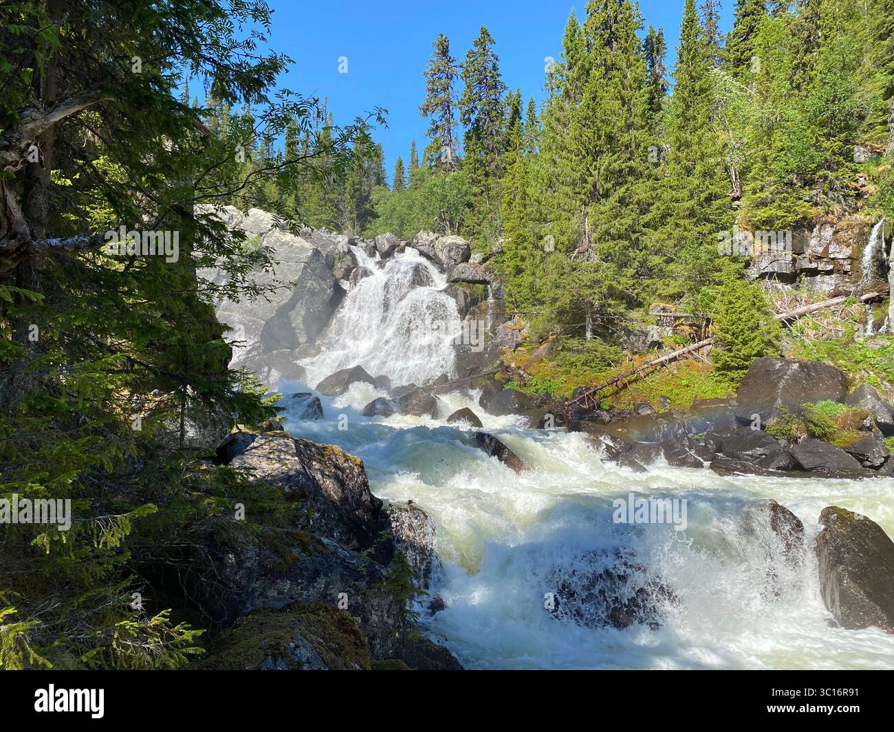 The powerful waterfall cascades through the forest under a beautiful ...
