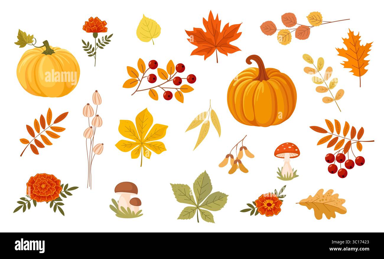 Flower leaves falling from tree Stock Vector Images - Alamy