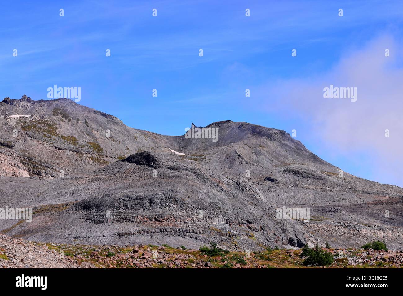 Rugged talus slopes and hardy alpine grasses spread across Mount ...