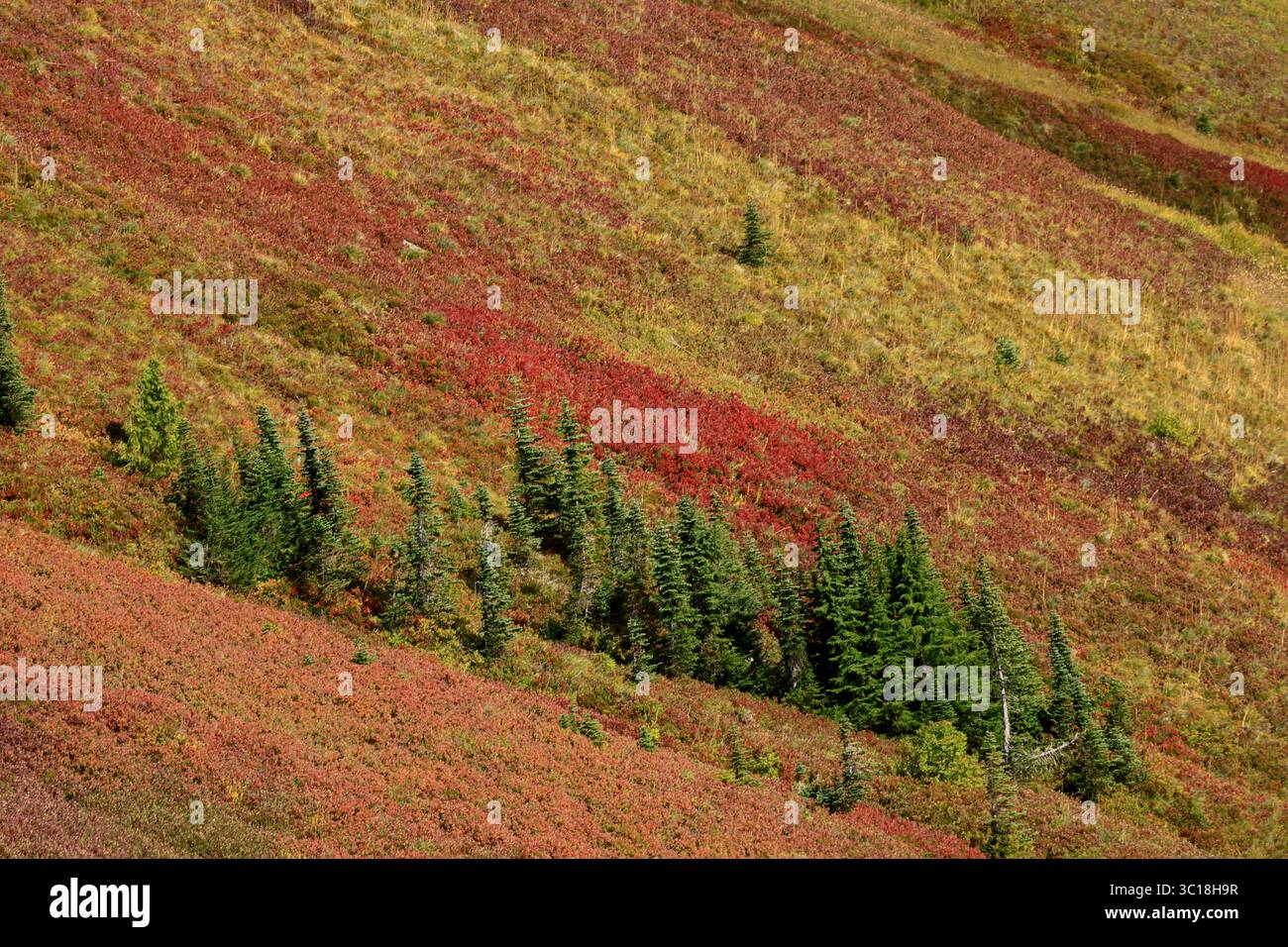 Rust red tundra hi-res stock photography and images - Alamy