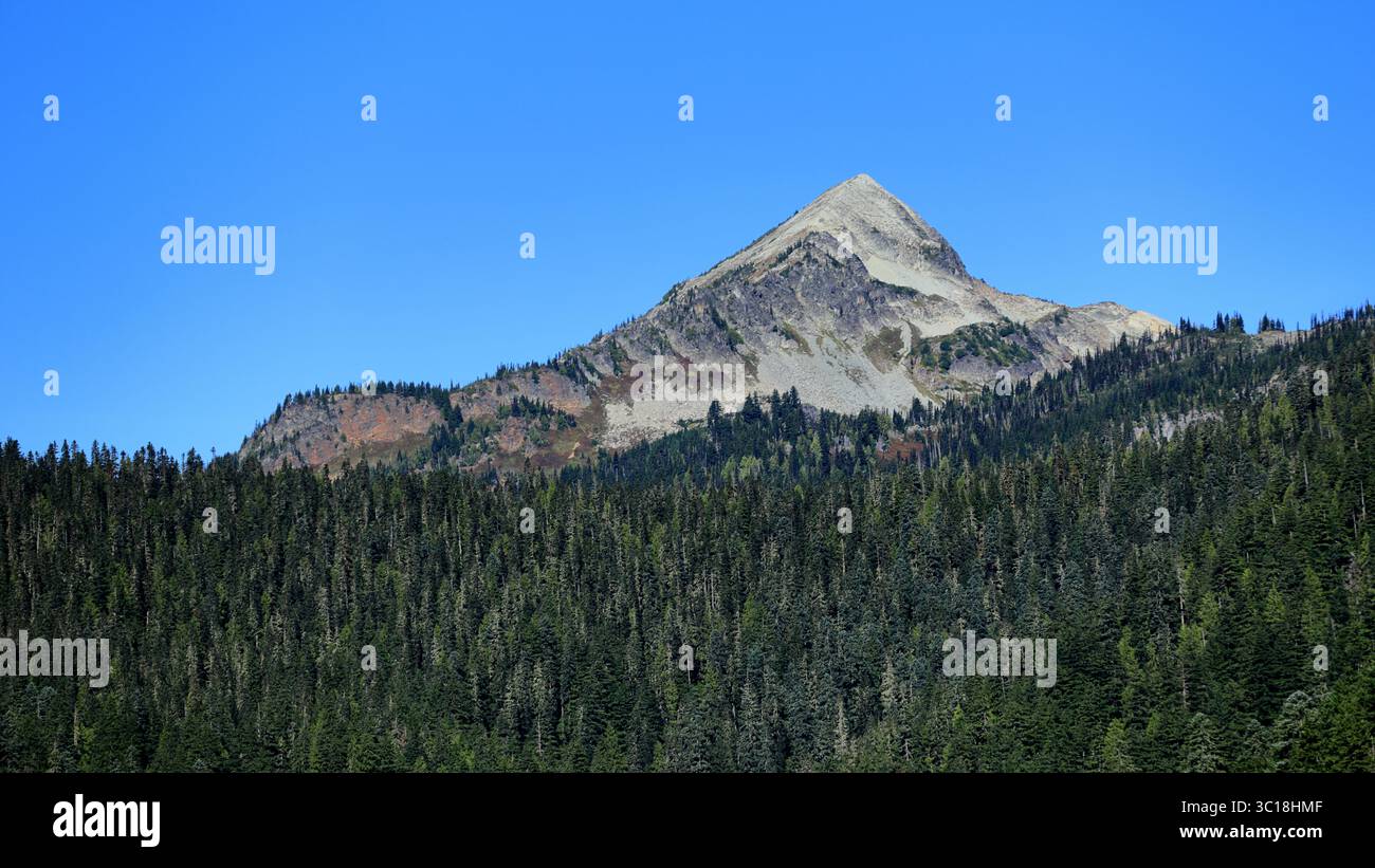 Towering granite summit looms above dense evergreen forest on Mount ...
