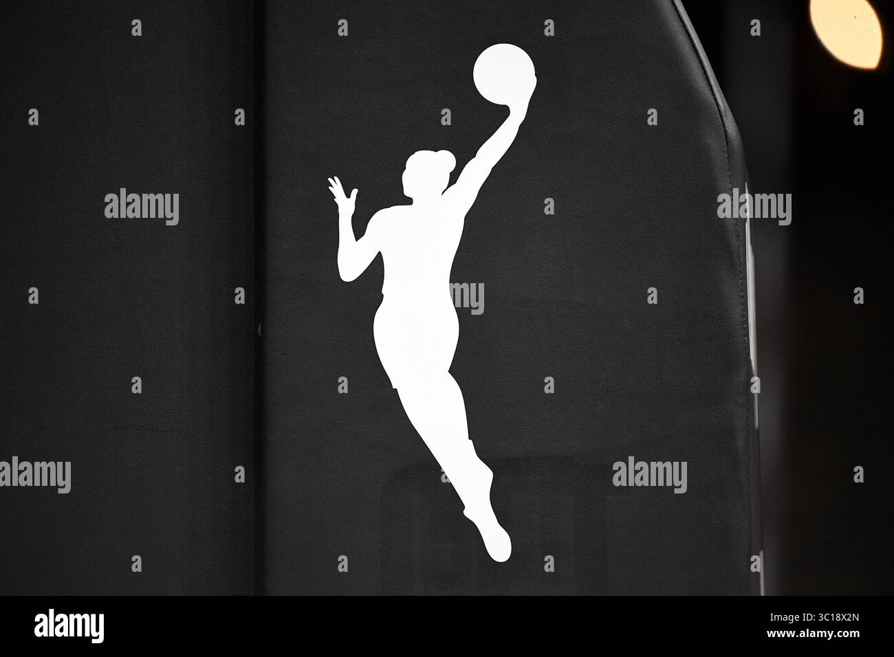 BOSTON, MA - JULY 15: A detail view of the WNBA logo on the stanchion ...