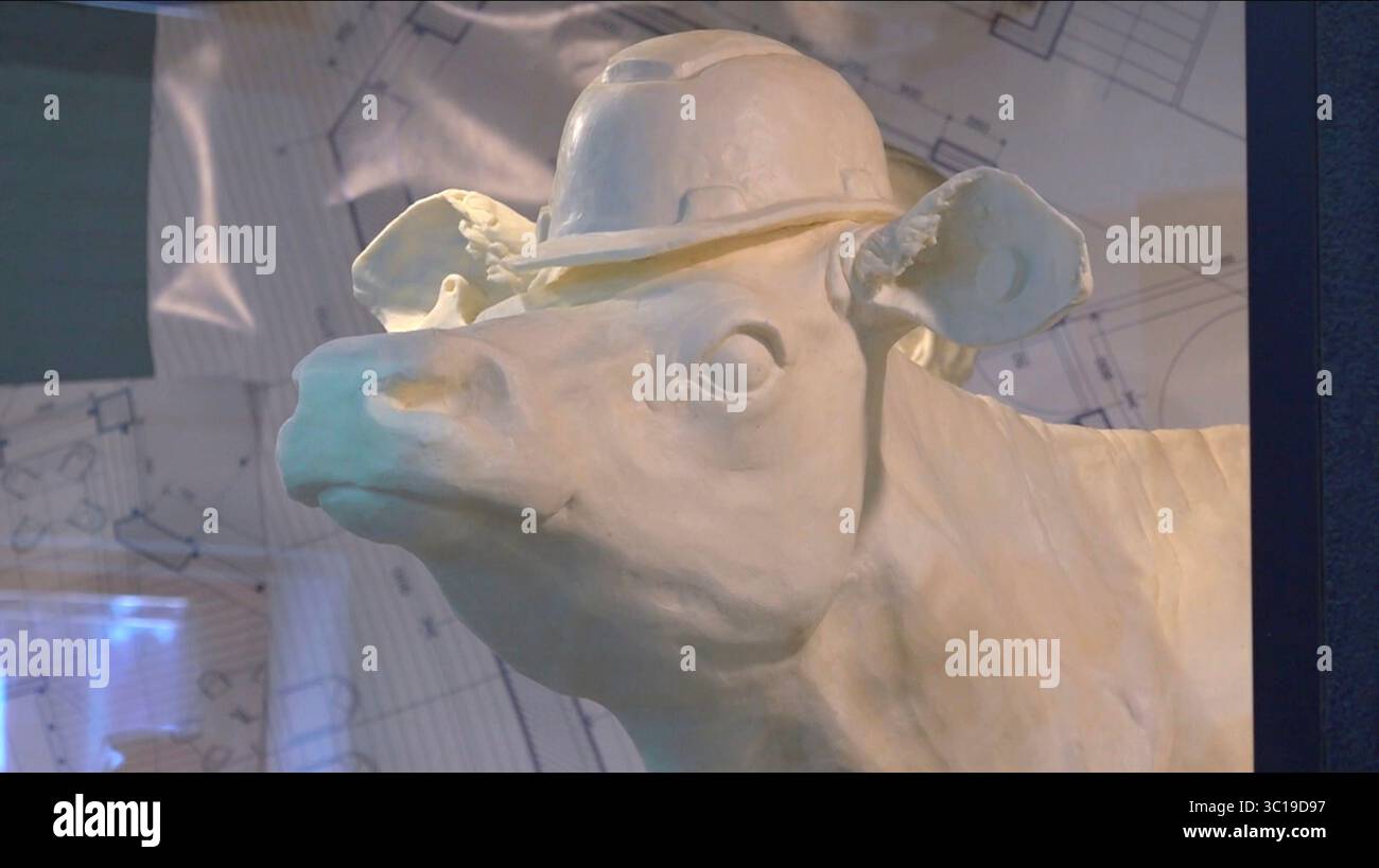 This photo taken from video shows a cow sculpture made of butter at the ...