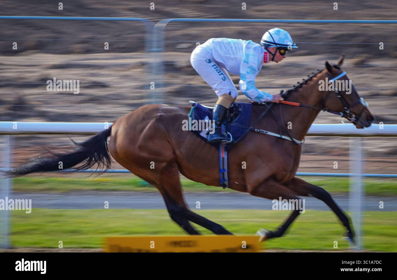 Close up horse racecourse hi-res stock photography and images - Alamy