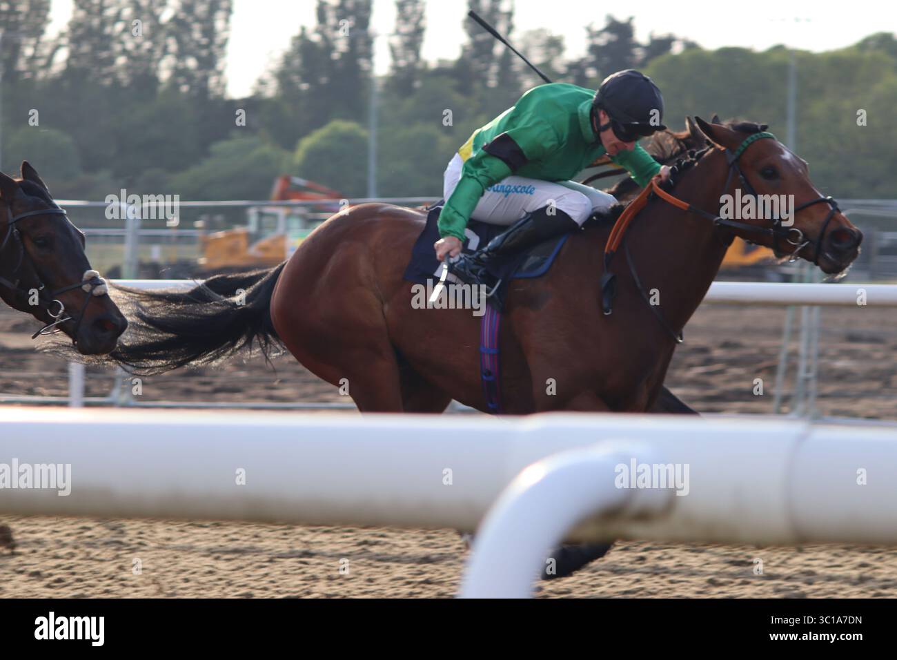 Equine close up photography hi-res stock photography and images - Alamy