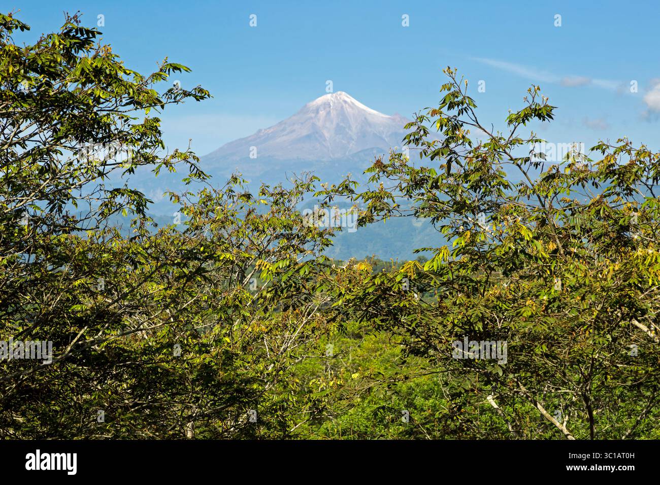 Cofee plantation and the Citlaltépetl mountain, near Huatusco, Veracruz ...