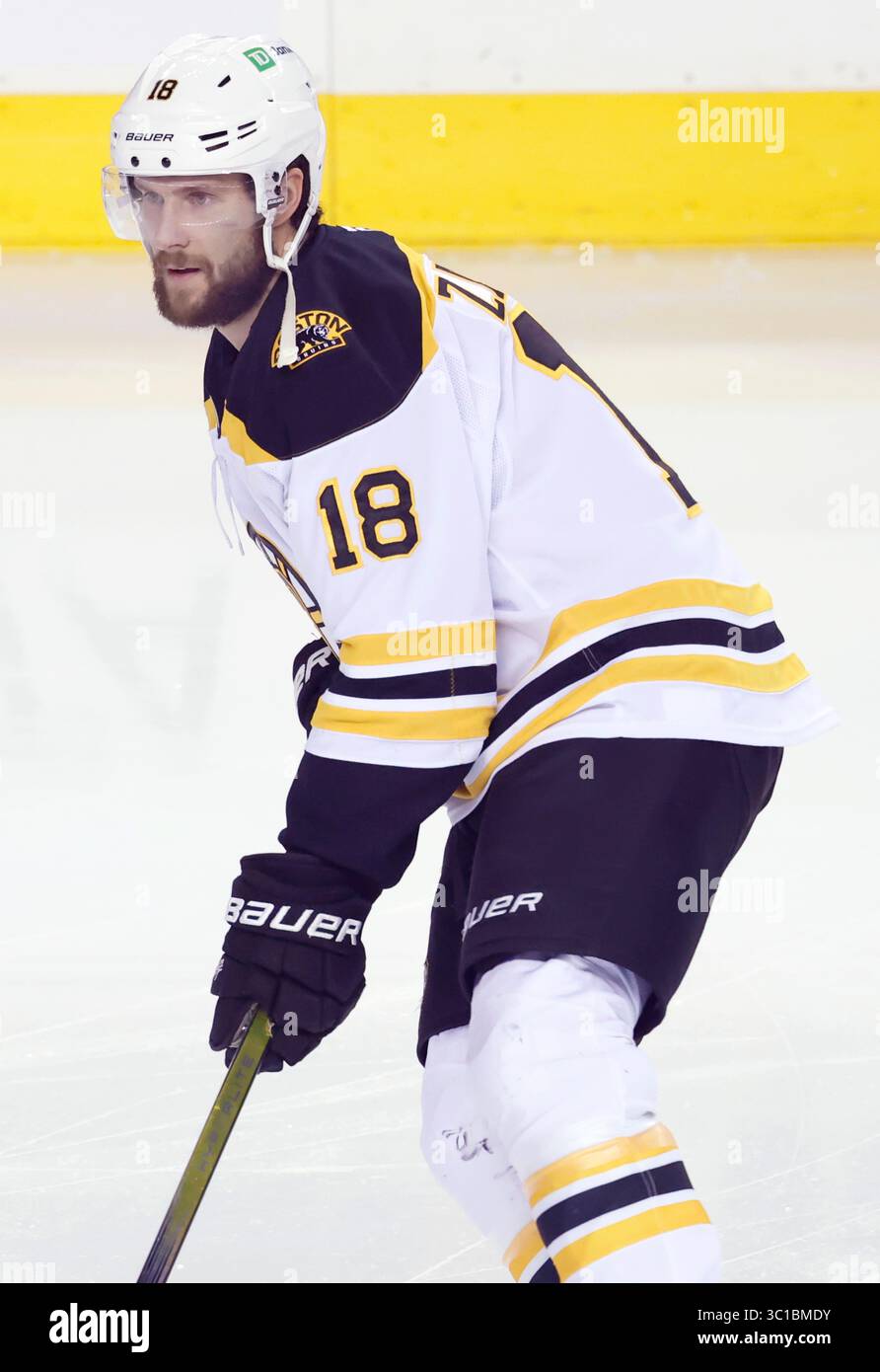 Profile photo on Boston Bruins C Pavel Zacha, from Czechia, during an ...