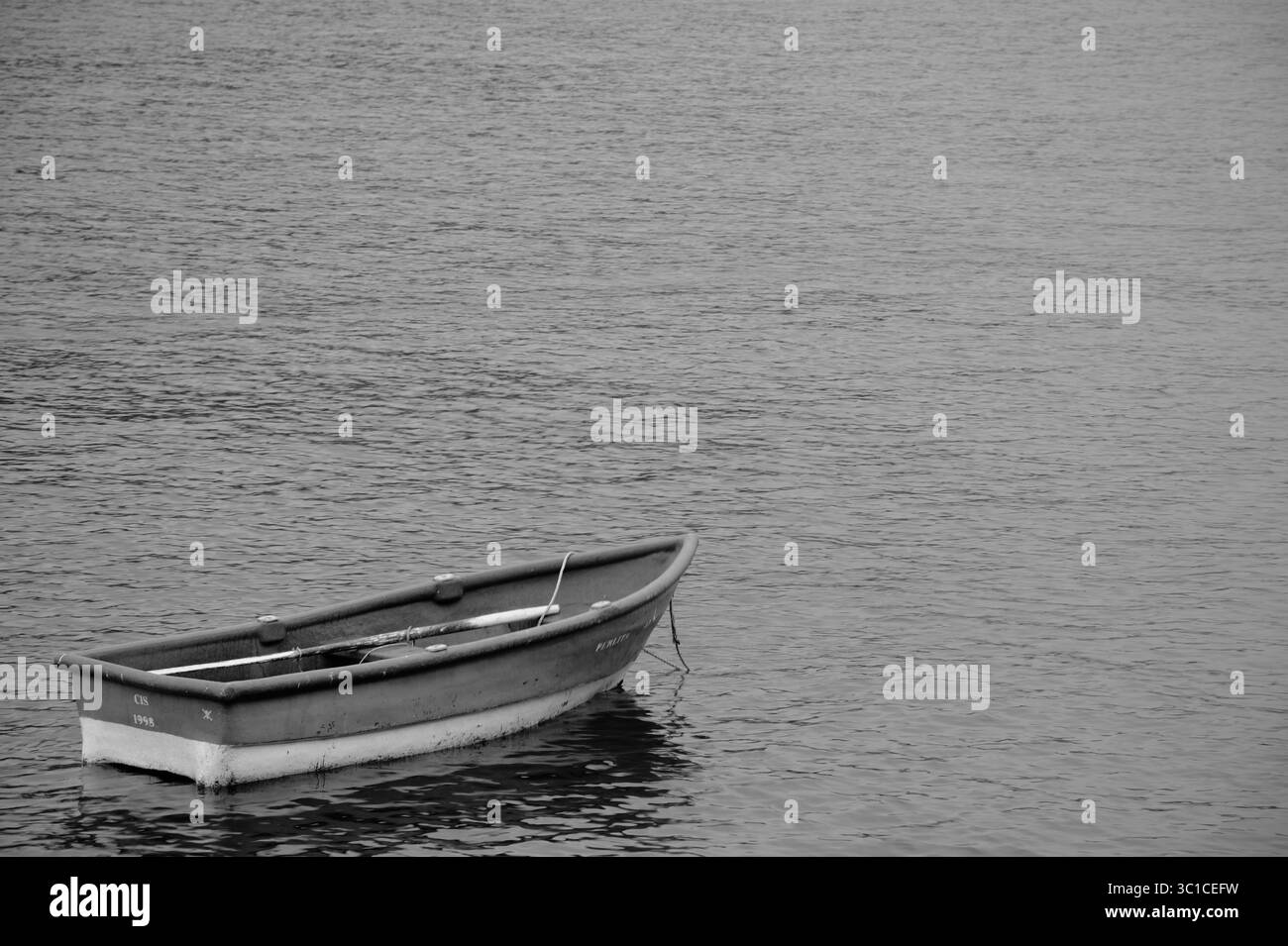 Floating on the shore Black and White Stock Photos & Images - Alamy