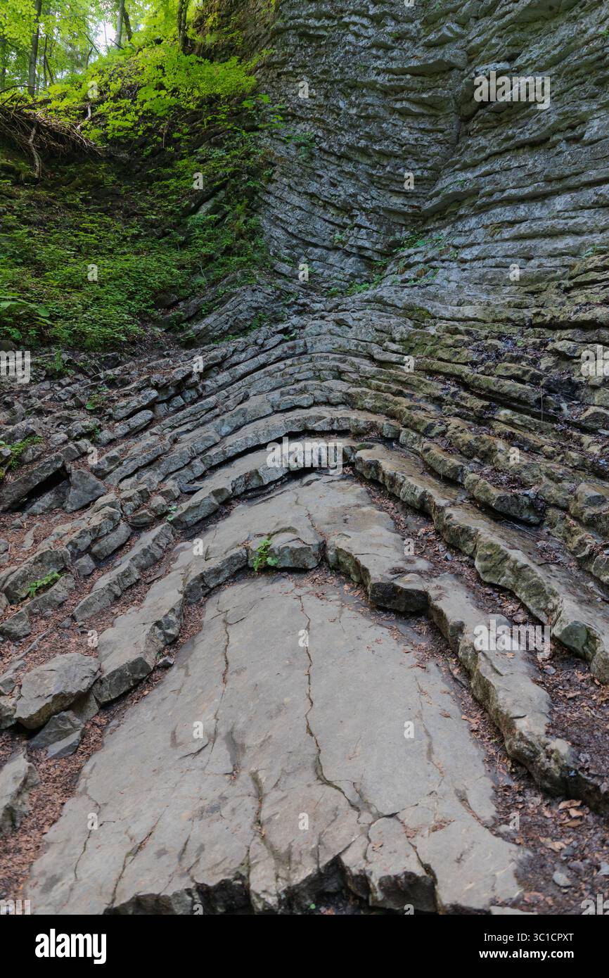 Layered rock formation on a forest slope near Partnachklamm, Garmisch ...
