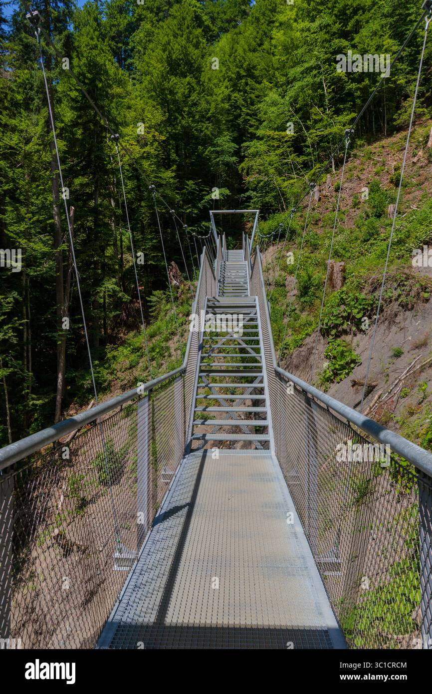 Steel suspension bridge on a forest trail near Partnachklamm, Garmisch ...